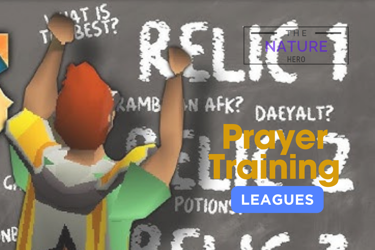 Leagues Prayer Training: From Novice To Virtuoso - The Nature Hero