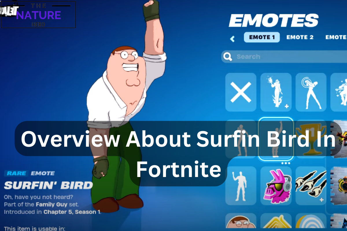 Discover Everything About Surfin Bird In Fortnite - The Nature Hero