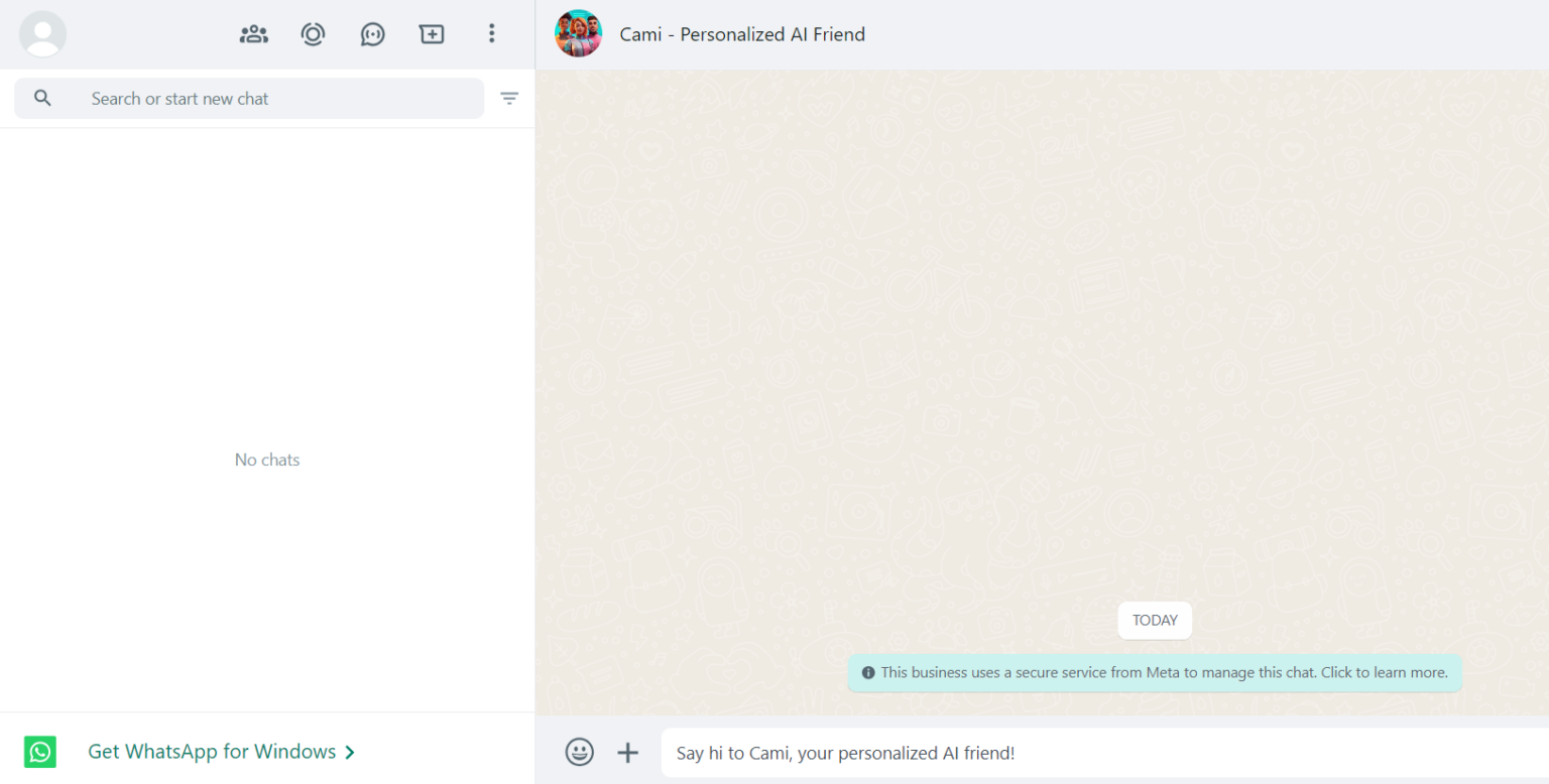 How To Use HeyCami AI On WhatsApp? - The Nature Hero