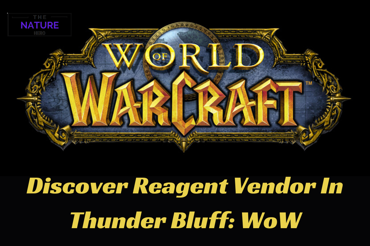 Discover Reagent Vendor In Thunder Bluff In WoW - The Nature Hero