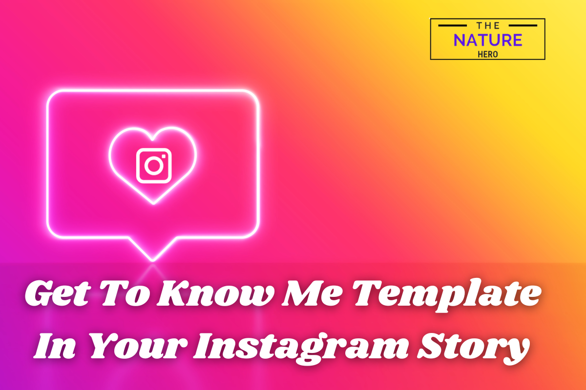 Add Get To Know Me Template In Your Instagram Story - The Nature Hero