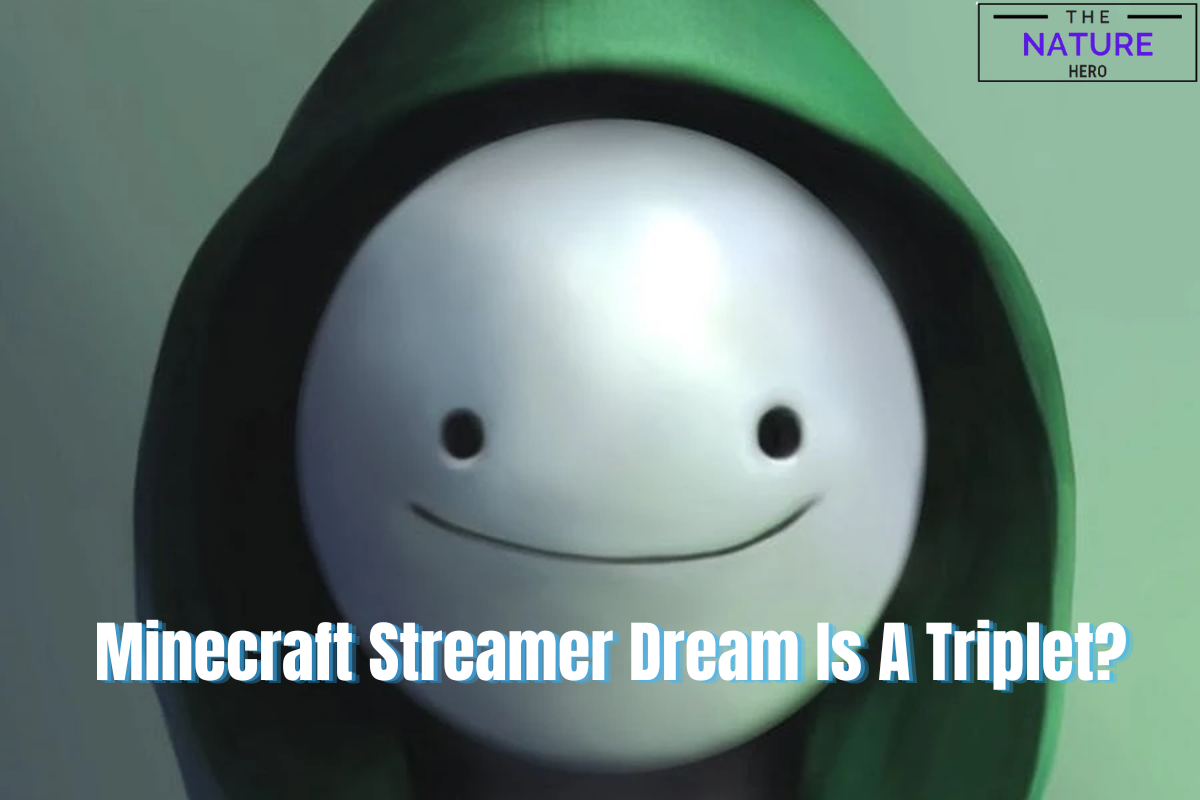 Is The Minecraft Streamer Dream A Triplet? - The Nature Hero