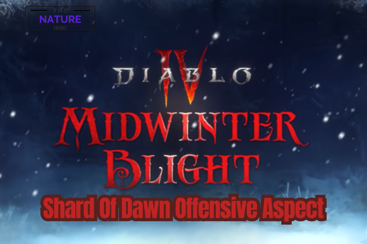 Complete Guide To Shard Of Dawn Offensive Aspect - The Nature Hero