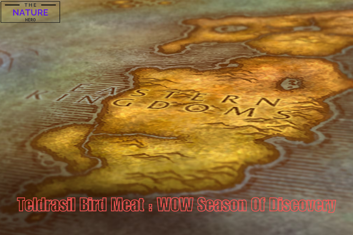 Explore Teldrassil Bird Meat In WOW Season Of Discovery - The Nature Hero