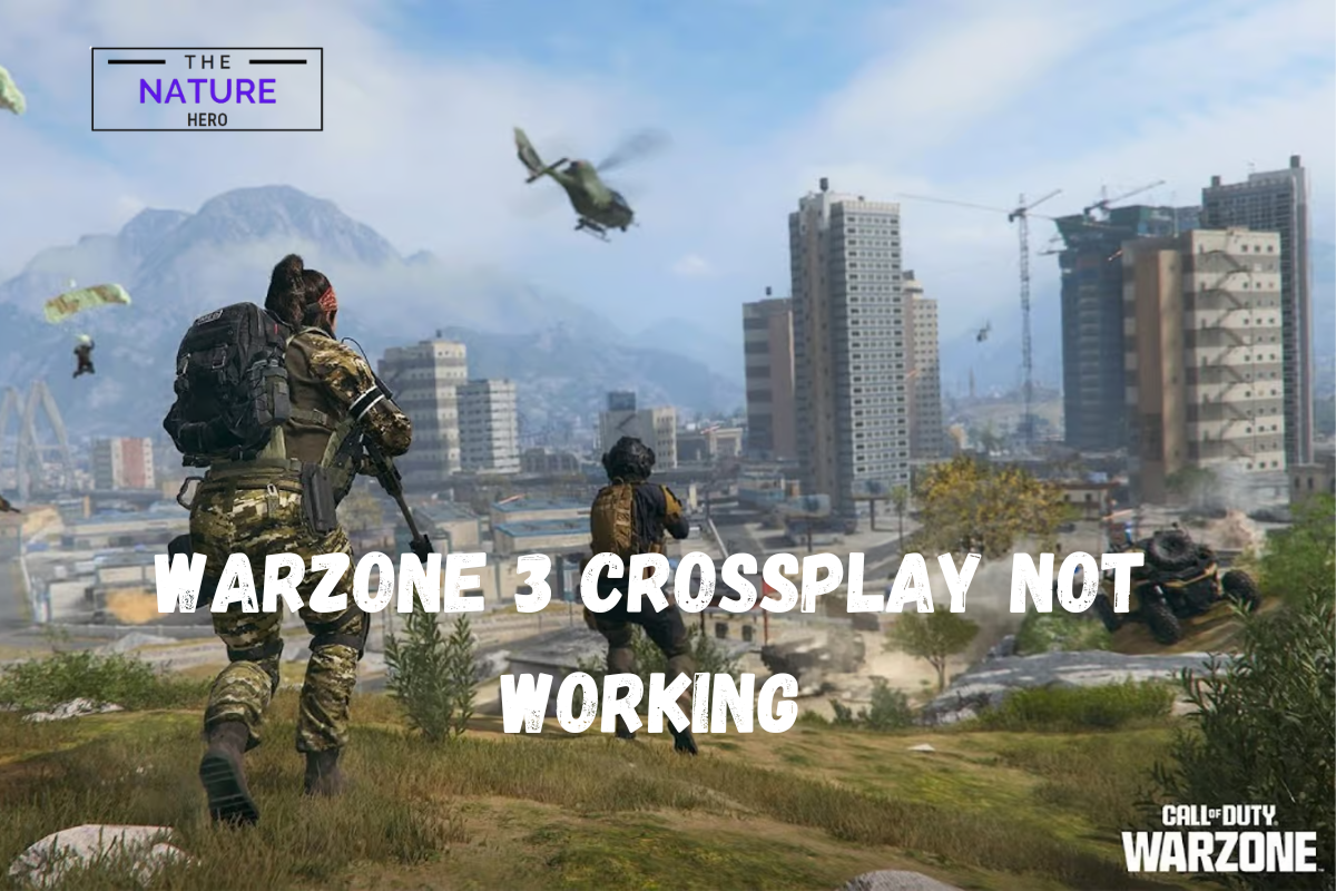 Warzone 3 Crossplay Not Working: How To Fix It? - The Nature Hero