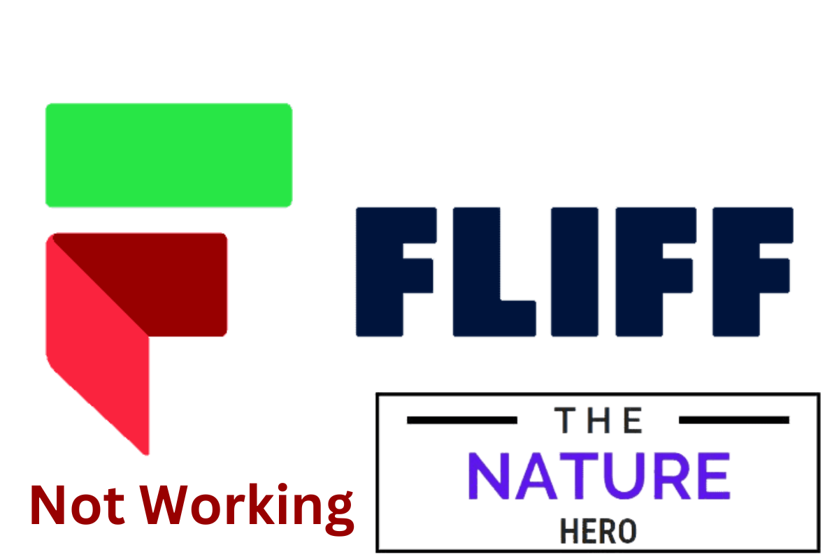 Fliff Not Working: Causes And Fixes - The Nature Hero