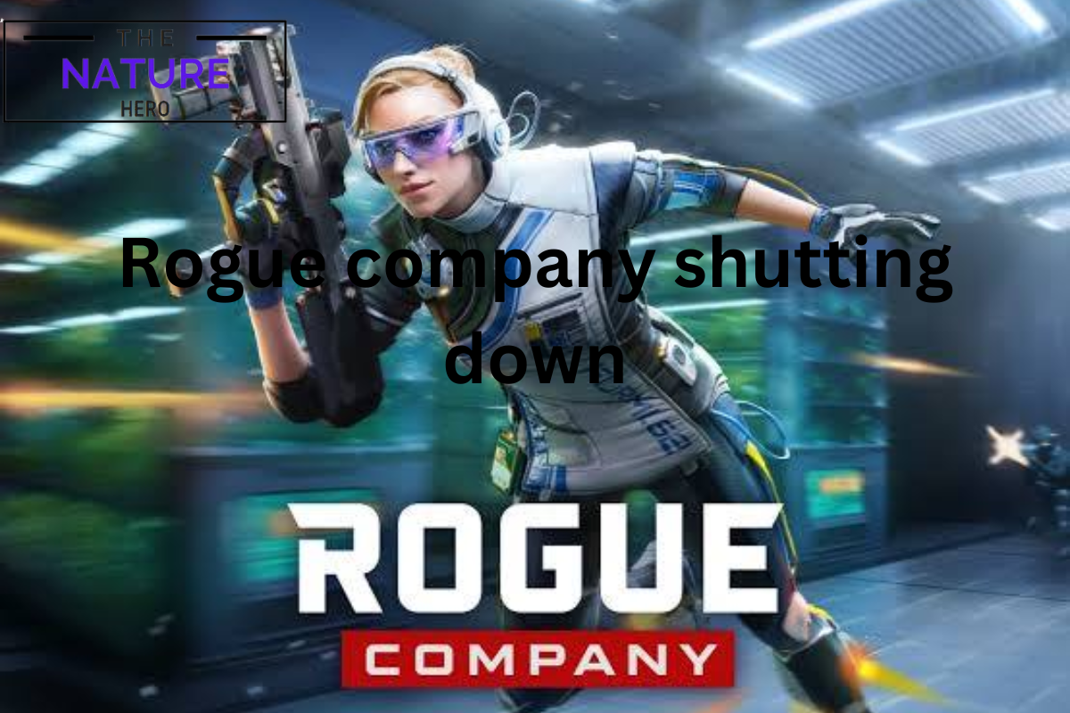 Rogue Company Shutting Down On Nintendo Switch - The Nature Hero