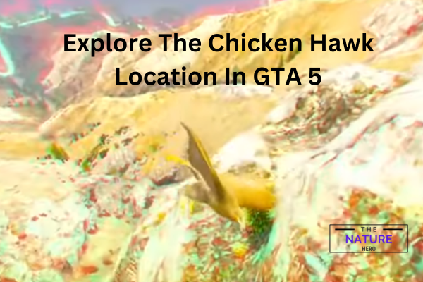 Explore The Chicken Hawk Location In GTA 5 - The Nature Hero
