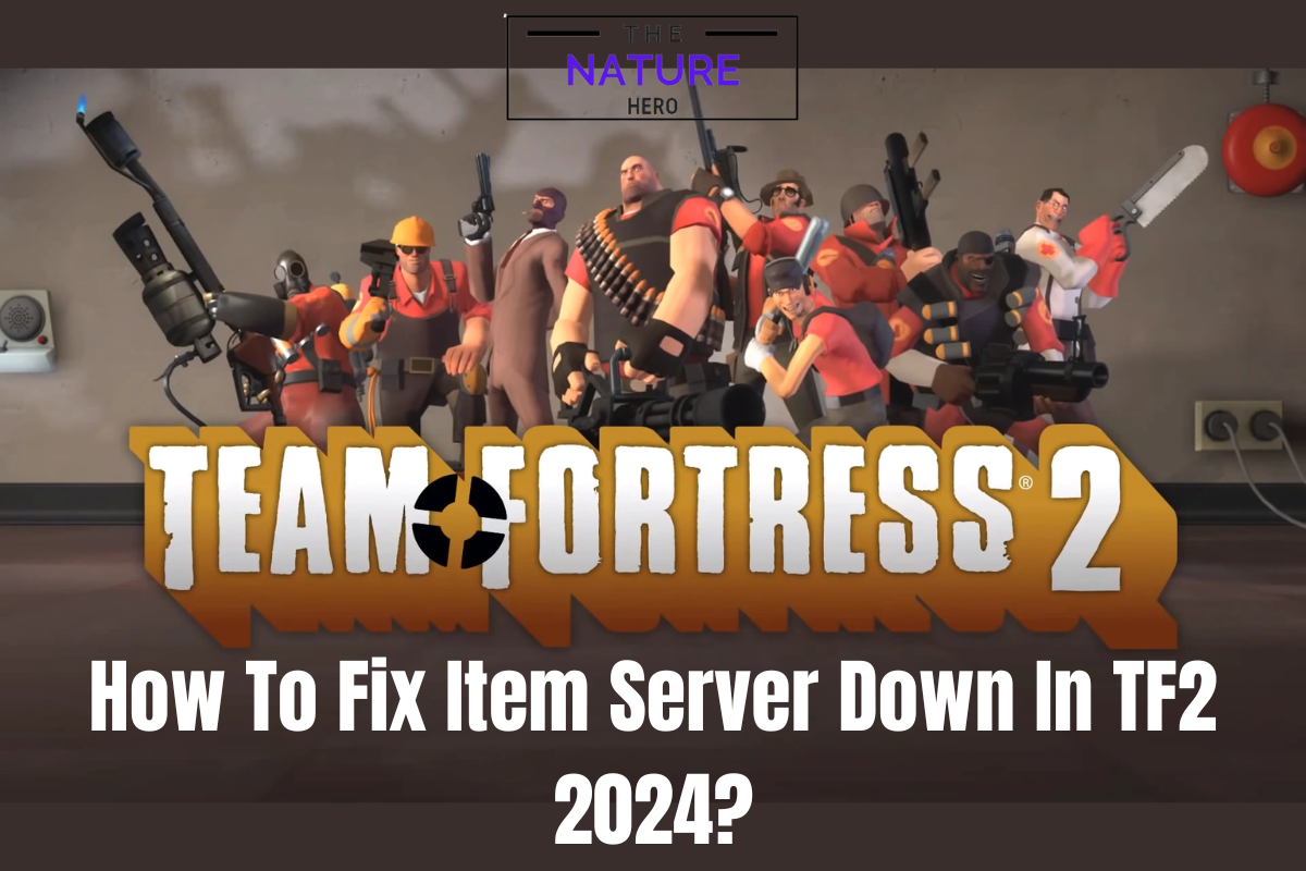 Is The Item Server Down In TF2 2024? - The Nature Hero