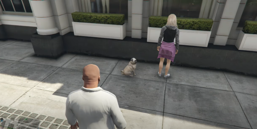 Find The Pug Location In GTA 5 Online - The Nature Hero