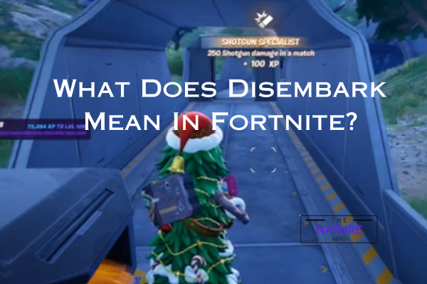 What Does Disembark Mean In Fortnite? - The Nature Hero