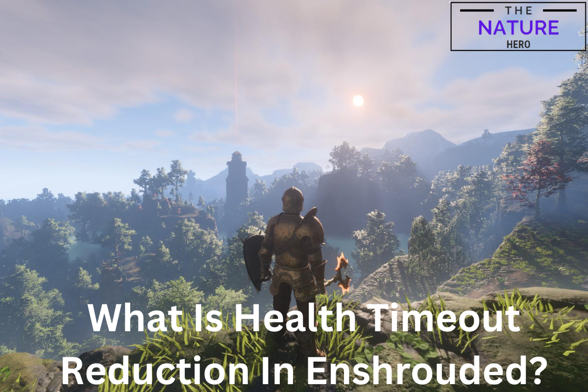 What Is Health Timeout Reduction In Enshrouded? - The Nature Hero