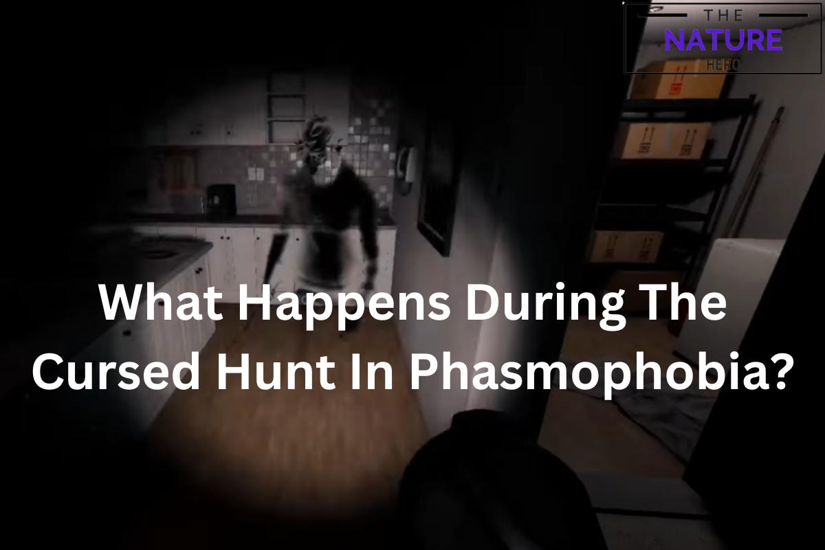 What Happens During The Cursed Hunt In Phasmophobia? - The Nature Hero