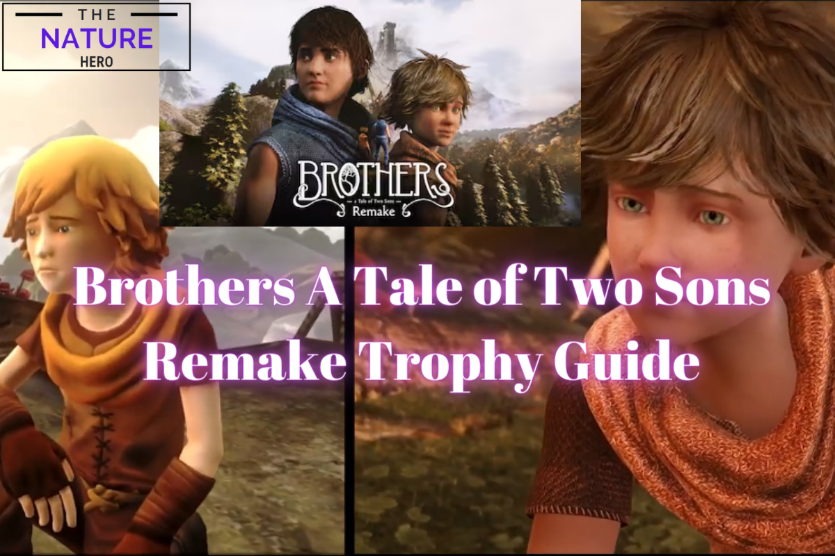 Brothers: A Tale of Two Sons Remake Trophy Guide And Graphics - The ...