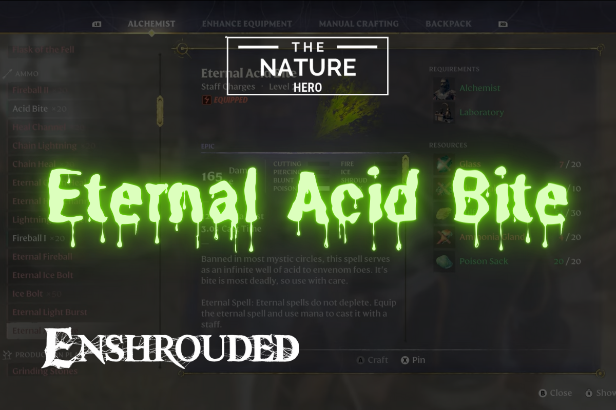 Eternal Acid Bite: A Deadly Spell In Enshrouded - The Nature Hero