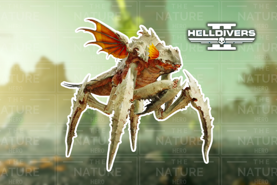 Helldivers 2 Hunters Not Working: Terminid Faction Bug Fixes - The ...