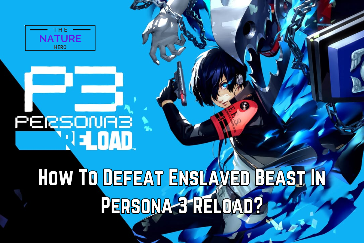 How To Defeat Enslaved Beast In Persona 3 Reload? - The Nature Hero