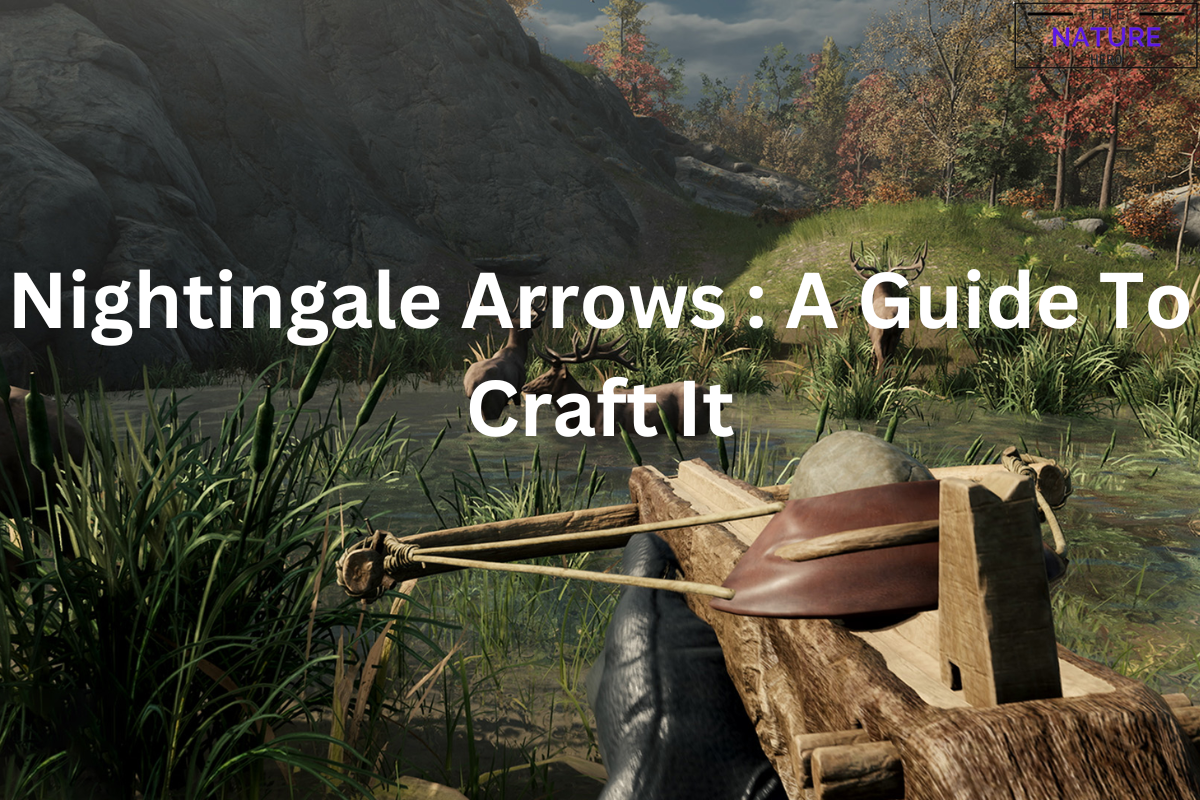 Nightingale Weapon: How To Craft Arrows? - The Nature Hero