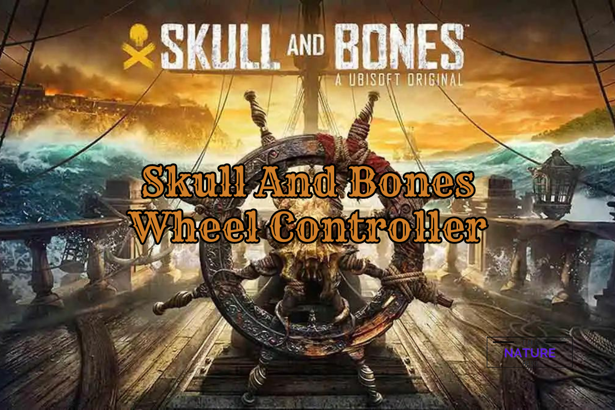 Skull And Bones Wheel Controller: Features And Where To Buy? - The ...