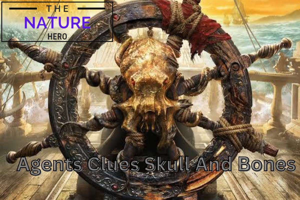 Skull And Bones Agents Clues: Sunken Mine And Stash - The Nature Hero