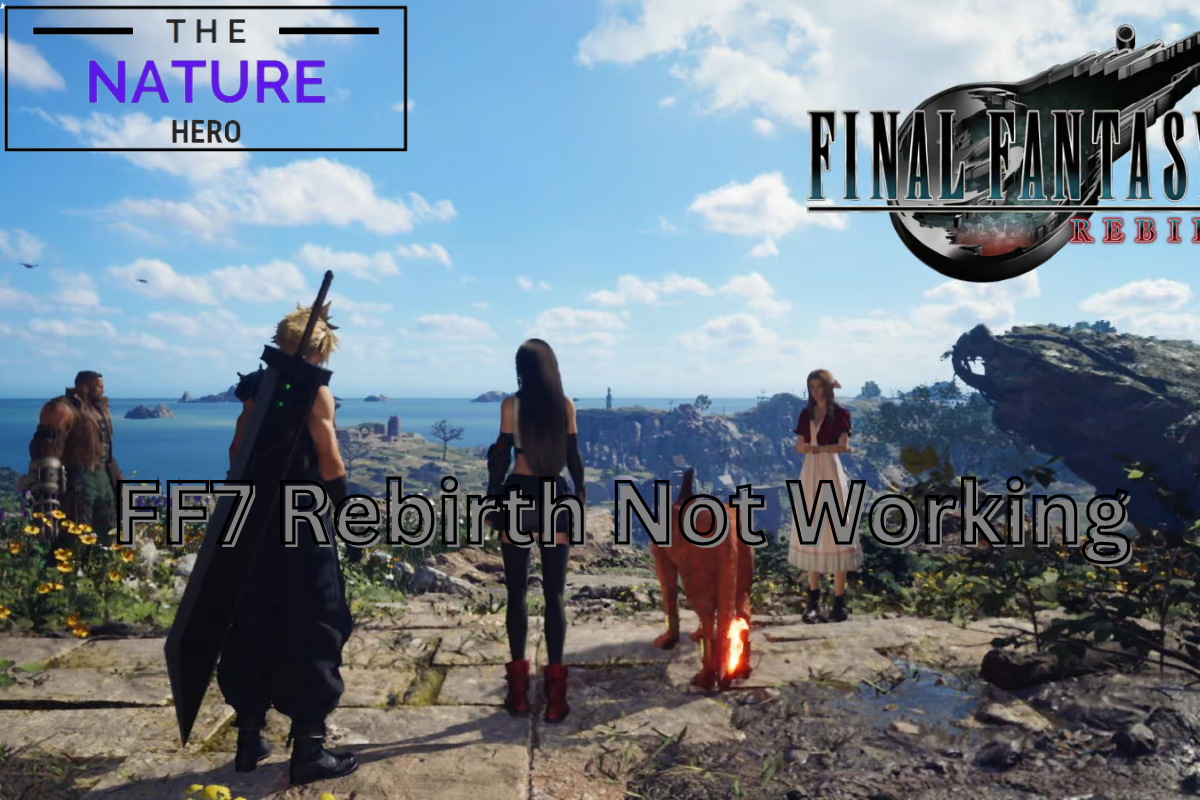 FF7 Rebirth Not Working On PS5: Crashing On Startup - The Nature Hero