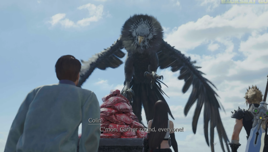 Choose Bovine Meat Or Monster Flesh Or Peculiar Greens In FF7 Rebirth ...